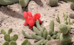 Unterricht Archives - ABC und 123 Lehrmittel Unterrichtsmaterialien